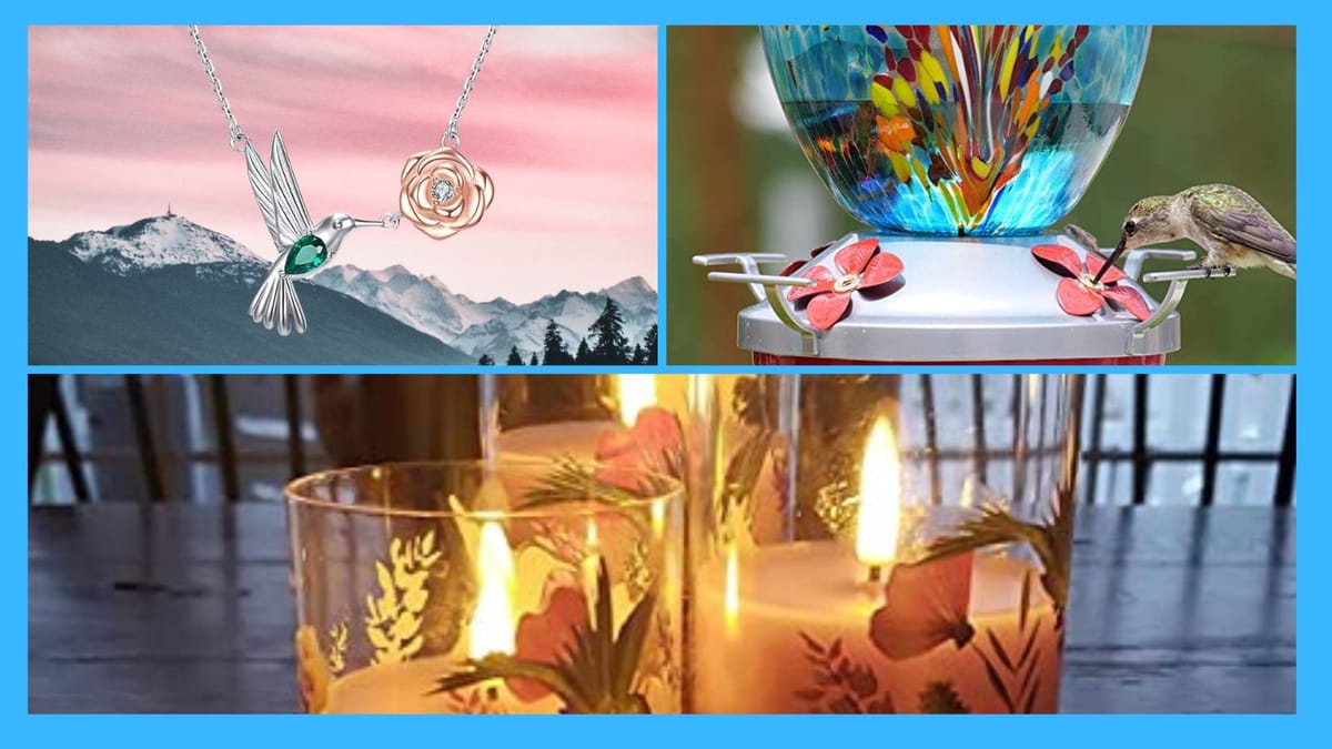 13 Adorable Hummingbird Gifts for Those Who Love Birds!