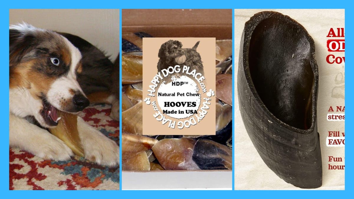 Why Cow Hooves are the Must-Have Dog Treat of The Year!