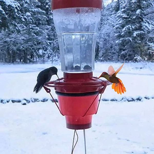 A Cold Weather Necessity: The Right Hummingbird Feeder Heater for Your ...