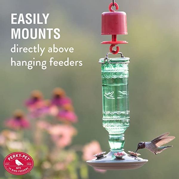 5 Best Ant Moats for Hummingbird Feeders Reviewed