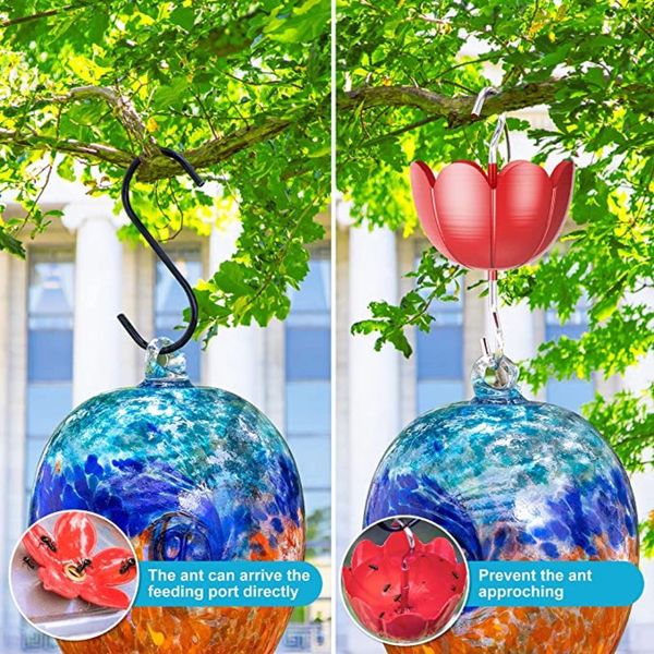 5 Best Ant Moats for Hummingbird Feeders Reviewed