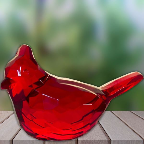 Discover Nature's Beauty with These Cardinal Gifts!